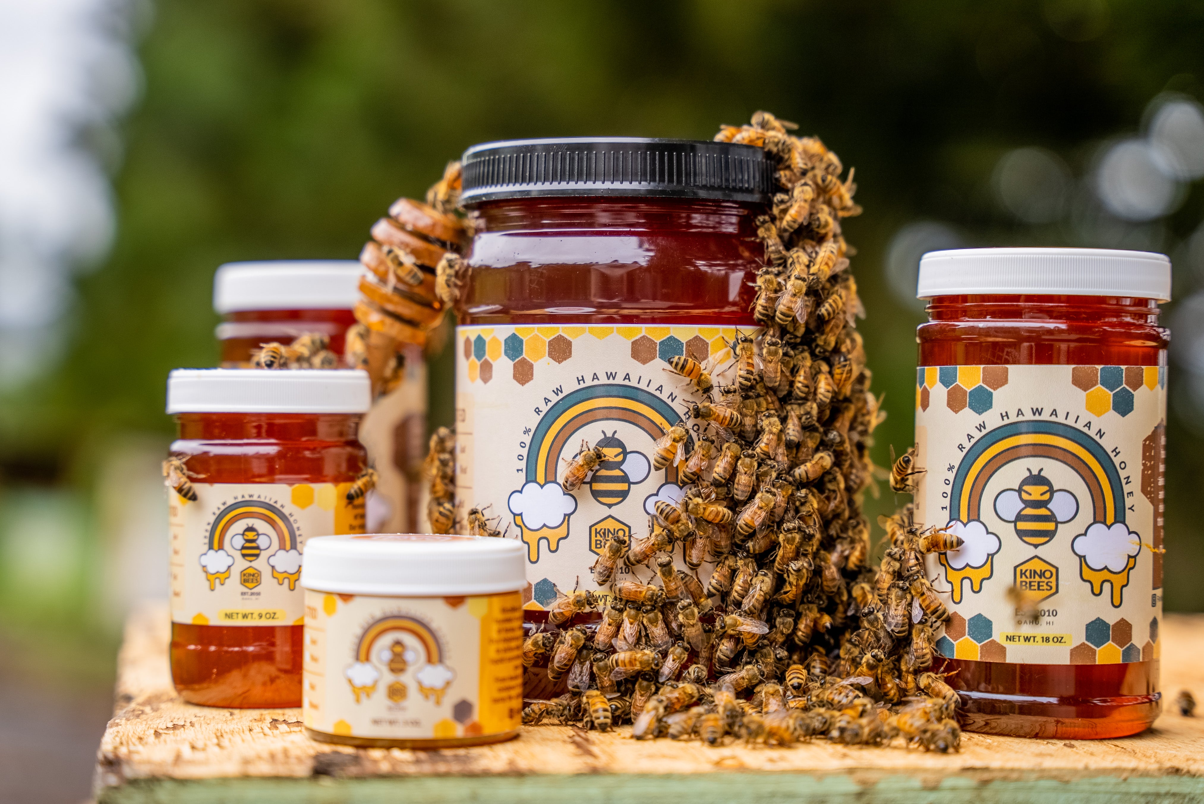 KinoBees Honey